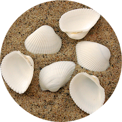 Craft Pack - White Litob - Marine Arts - MarineArts.co.uk