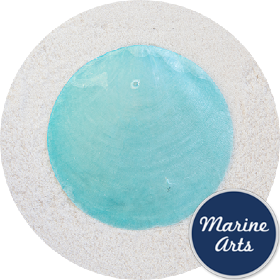 Capiz Shells Disc - Light Blue 65mm - Craft Pack - Marine Arts ...