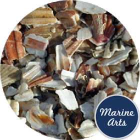 Crushed Scallop Shell - Marine Arts - MarineArts.co.uk
