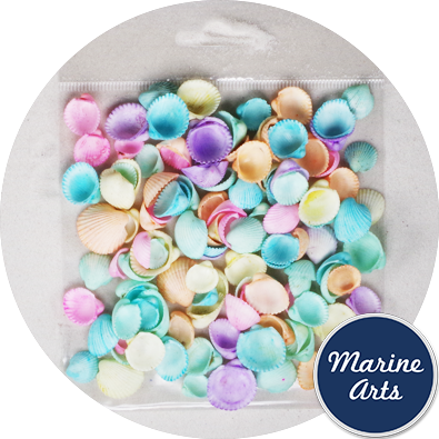 Craft Pack - Coloured Rose Cockle Shells - Marine Arts - MarineArts.co.uk