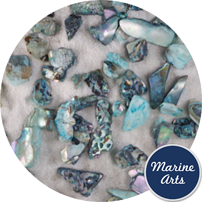 Craft Pack - Tumbled Abalone Shell - Turquoise - Marine Arts ...
